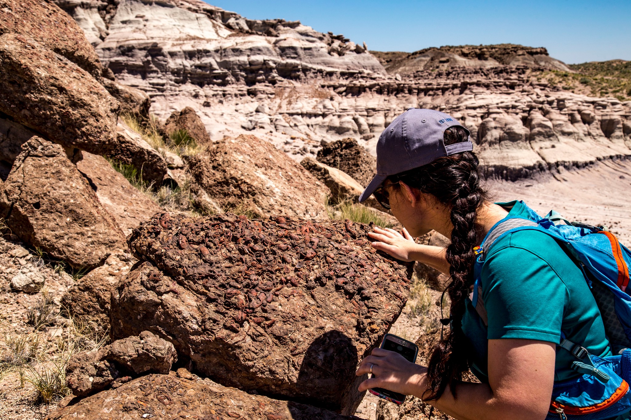 Satellites have the potential to find fossils at Petrified Forest ...