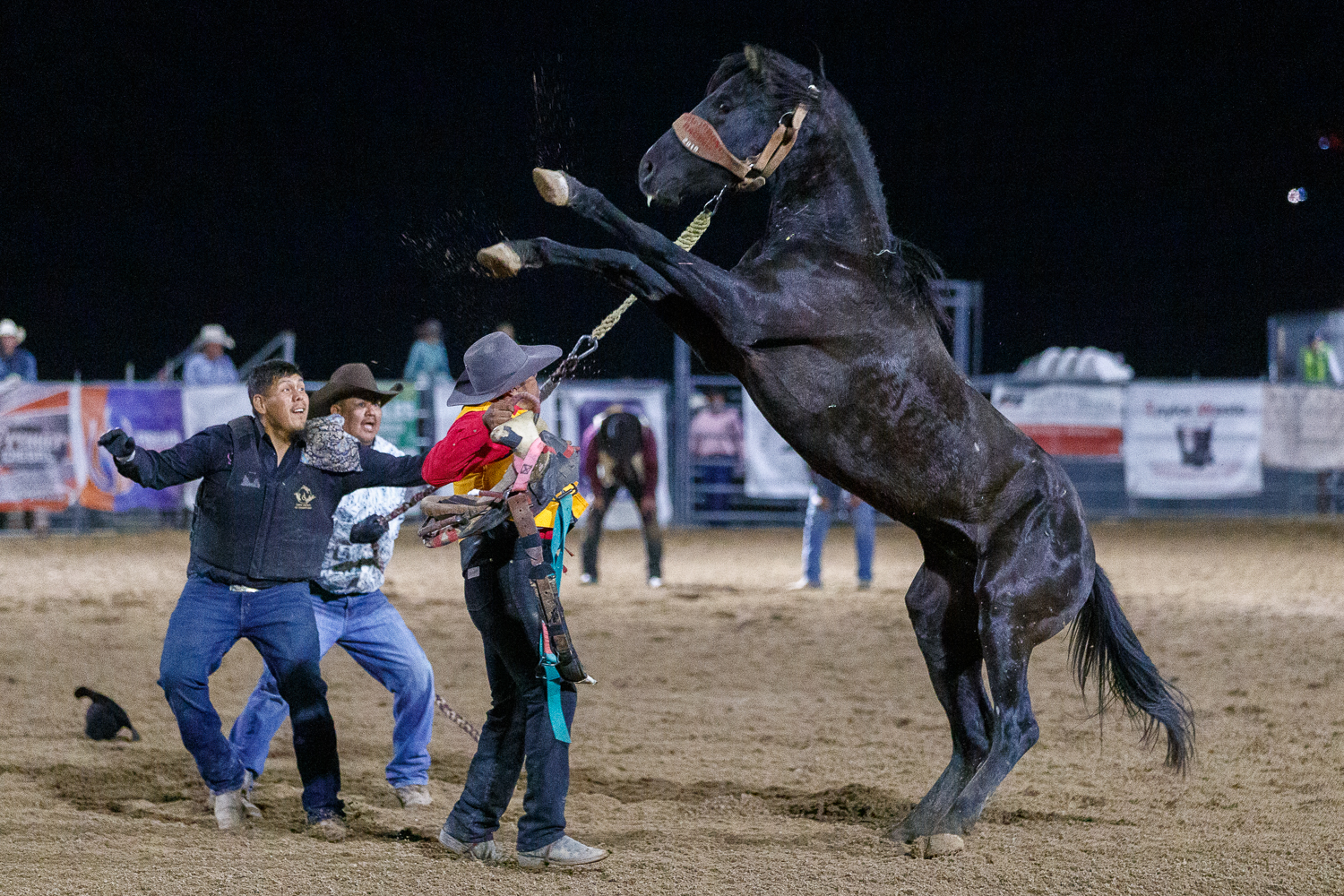 Camp Verde Arena Association may lose arena lease after dispute with ...