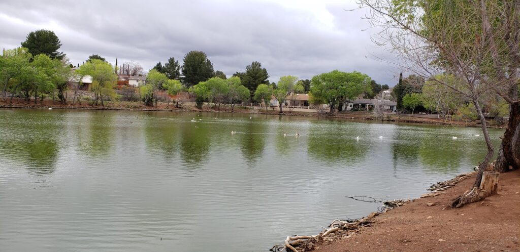 Verde Village Pond could be dry by 2028 - Journalaz.com