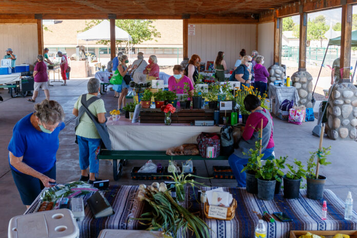 Verde Valley Farmers Market opens for 2026 - Journalaz.com